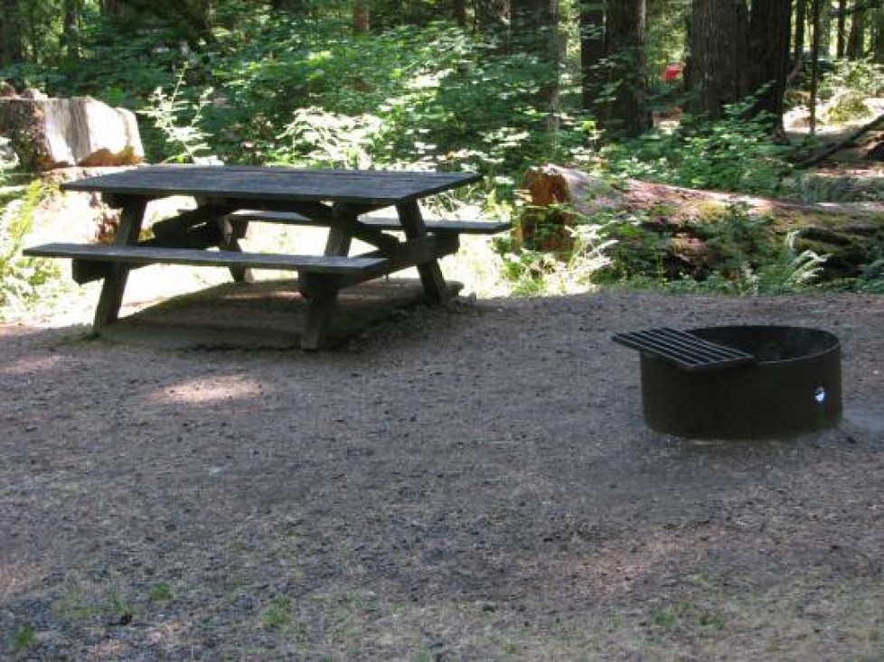 Area Campgrounds – Play Estacada